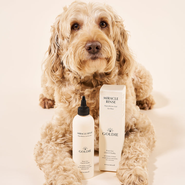 Goldie | Miracle Rinse